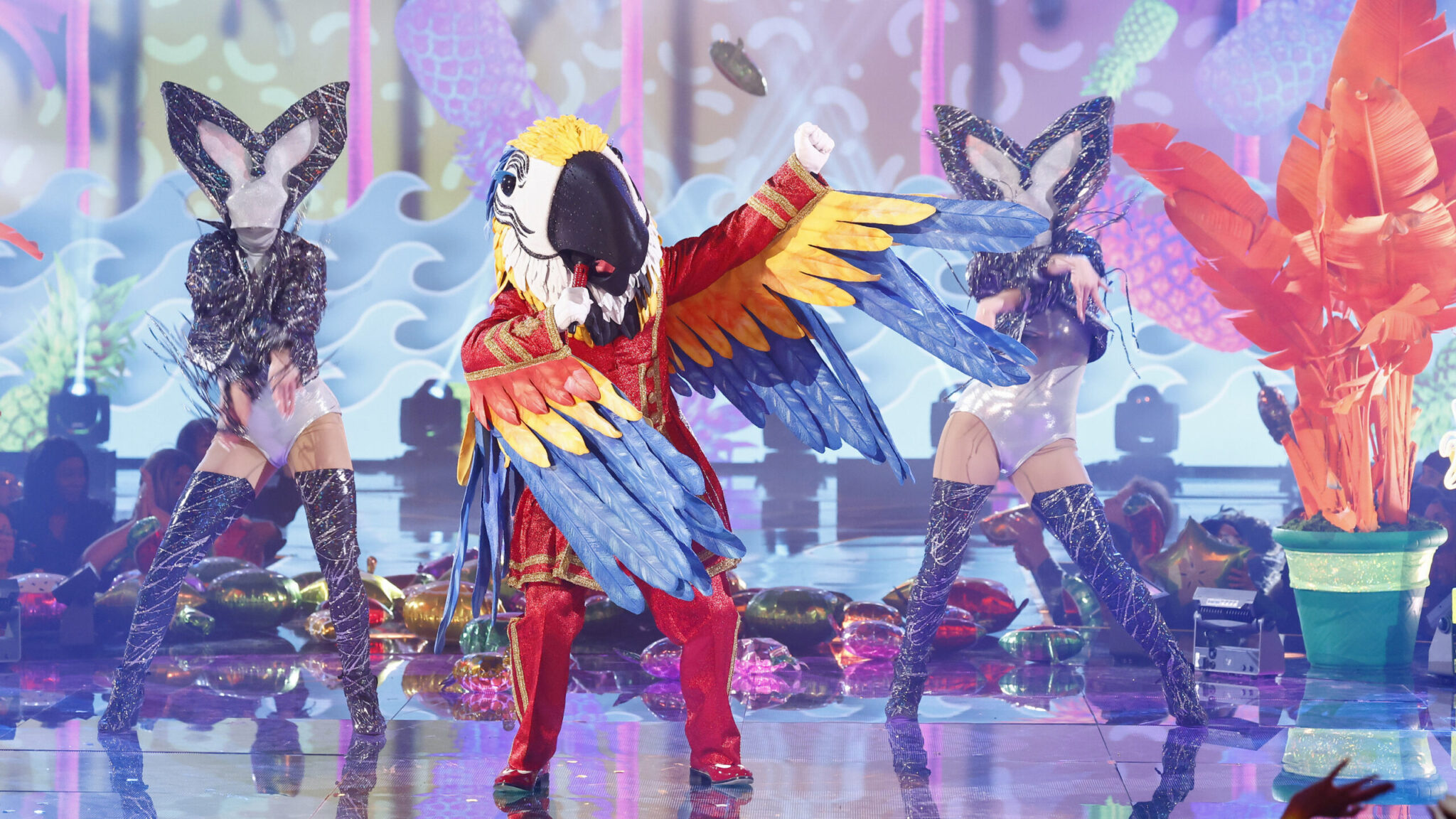 The Masked Singer 9: Watch Macaw's Epic One Direction Cover