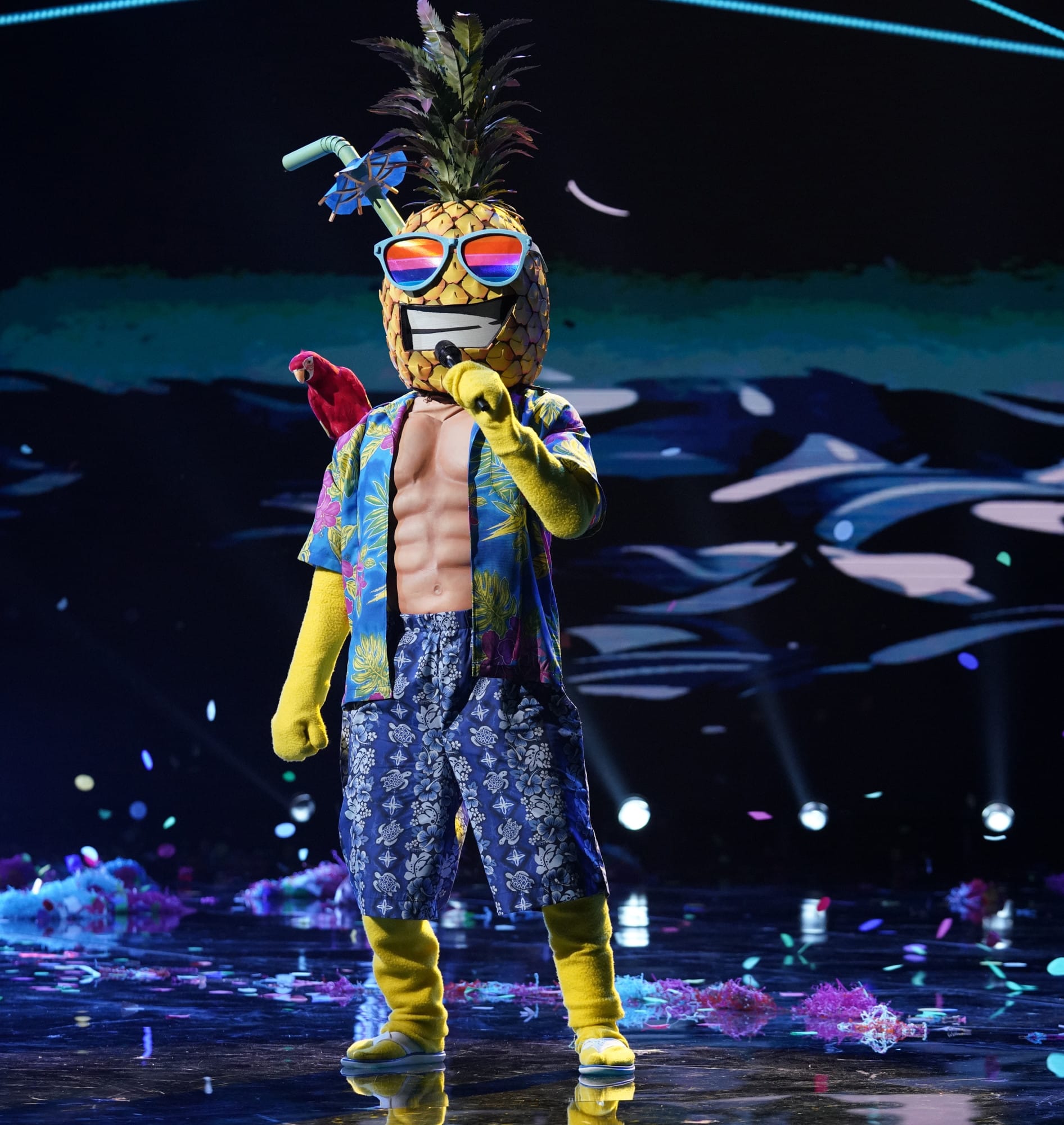 The Masked Singer Episode 2 Clues (PHOTOS + VIDEOS)